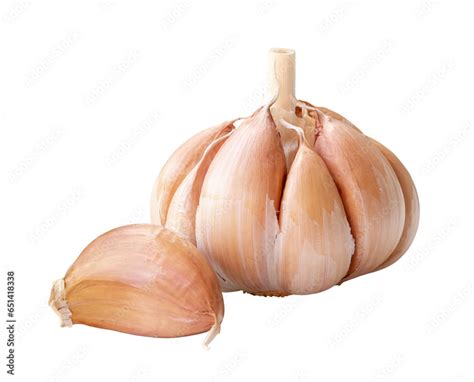 Single Fresh White Garlic Bulb With Segment Isolated On White