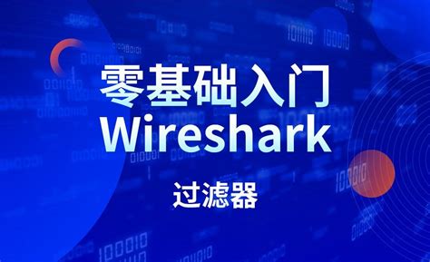 Wireshark 过滤器 软件入门教程 Wireshark 虎课网