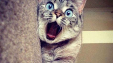 Wahrheiten über Sex nur Eltern von kleinen Kindern kennen Buzz