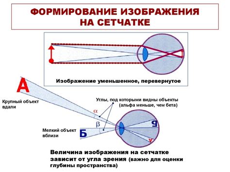 Зрение Строение глаза Online Presentation