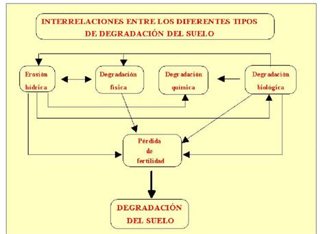 Interrelaciones Entre Los Diferentes Tipos De Degradación Que Pueden