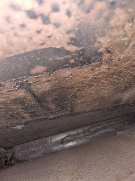Rust Protect Internals Chevy Tri Five Forum