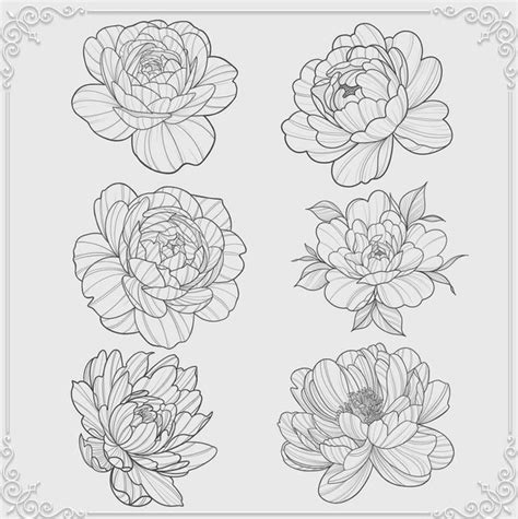 Pin By Rosie Betton On Tatz Flashsheet Inspo In 2024 Floral Tattoo