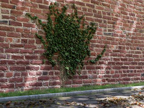 Ivy Texturizer Blender Add On • Hdrmaps™