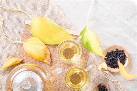 가 차입니다 유리 주전자와 컵 테이블에 단풍과의 상위 볼 수 있습니다 0명에 대한 스톡 사진 및 기타 이미지 0명 10월 11월 Istock