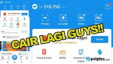 Ini Cara Pinjam Saldo Dana Tanpa KTP Tanpa Bunga No Ribet Pasundan