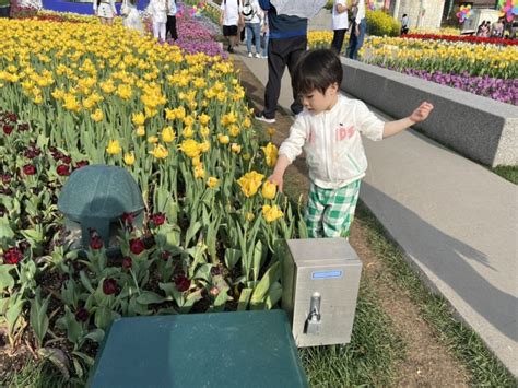 에버랜드 페어리타운 판다 굿즈 산리오 기간 포토타임 튤립축제 가족나들이 네이버 블로그