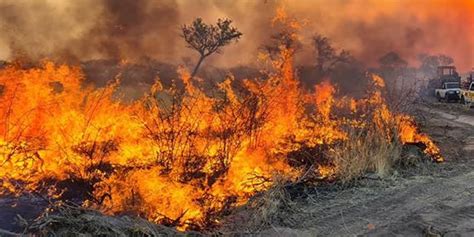 Veld Fires Eat Up 920 944ha Of Land Eagle FM