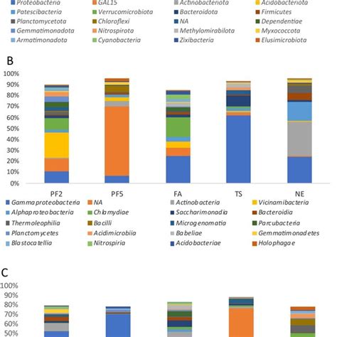 The Relative Abundance Of The First In Abundance 20 Bacterial Phyla