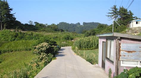 Visit Ulleung 2024 Travel Guide For Ulleung North Gyeongsang Expedia