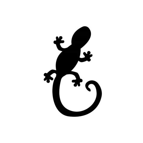 Newt Illustrations Royalty Free Vector Graphics And Clip Art Istock