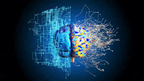 Individualized Brain Fingerprints Reveal Early Alzheimers Signs