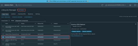 custom esxi dummy reboot vib for vsphere lifecycle manager vlcm r