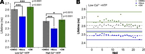 Effects Of Mava And Om On Fluorescence Lifetime In Ianbd Ctnc T53c