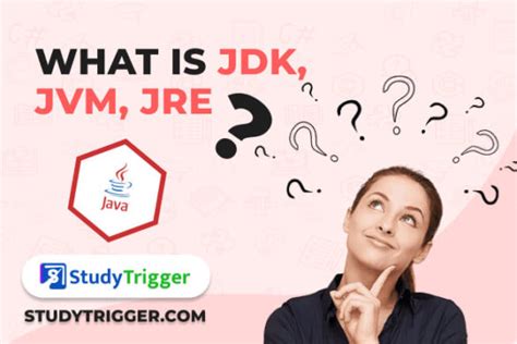 JAVA Programming - Study Trigger