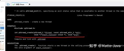 深入解析linux系统中的hook函数技术及其在安全与开发中的应用 Linux命令大全手册