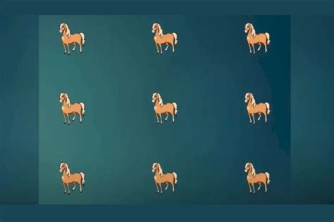 Desafio Lógico Como Isolar Os 9 Cavalos Por Meio De Dois Quadrados