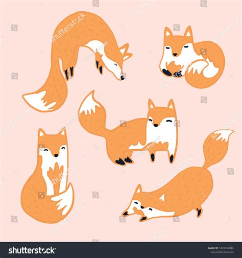 Cute Fox Hand Drawn Collection Set Stock Vector Royalty Free