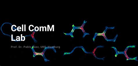 GitHub Cellcommlab Homepage Temporary Under Construction Page