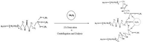Size Reproducibility Of Gadolinium Oxide Based Nanomagnetic Particles For Cellular Magnetic