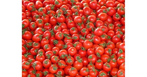 Доматите поевтиняват с 11 краставиците поскъпват с 9 Български Фермер