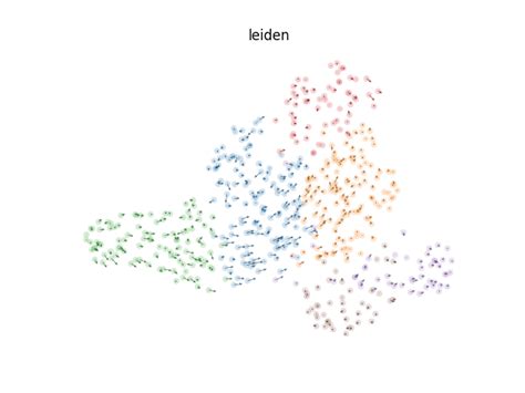 Discordance Between Arrows In Different Velocity Embeddings