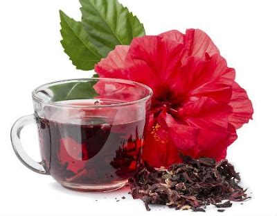 EMAGRECER SAÚDE CHÁ DE HIBISCO BENEFÍCIOS EFEITOS COLATERAIS E RECEITA