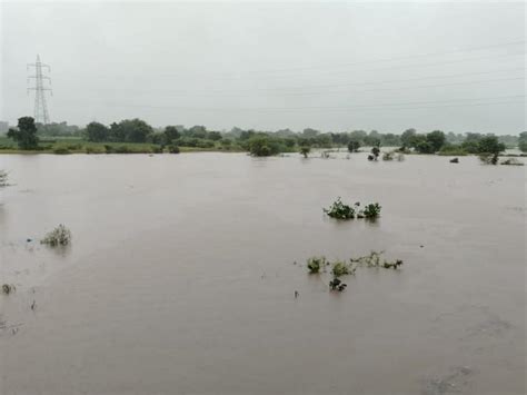 मराठवाडा विदर्भात पूरस्थिती शेकडो गावांचा संपर्क तुटला शेतशिवारात