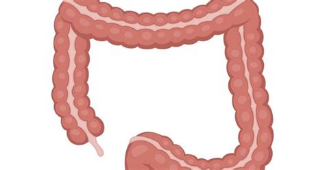 [서울아산병원과 함께 하는 건강 Tip] 조기 대장암