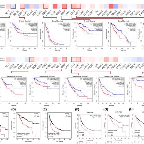 Expression Of Vegfa In Tumour And Normal Tissues A Vegfa Expression