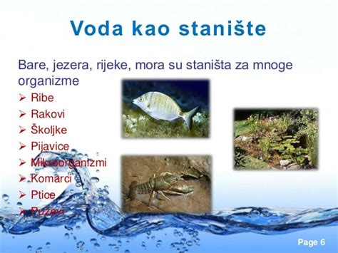 Voda Je Uslov života Jasmina Šabanovic