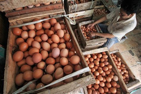 Kemendag Akan Evaluasi Harga Acuan Telur Kamis Besok PONTAS ID
