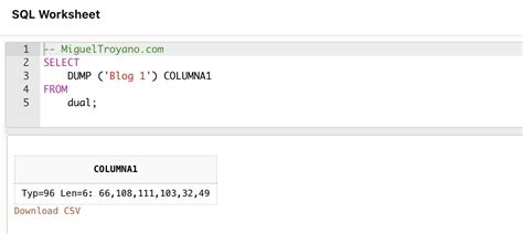 Función DUMP en Oracle MiguelTroyano