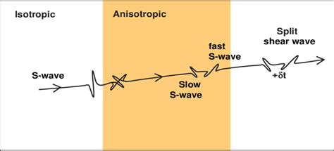 Shear Wave Splitting Occurs For A Shear Wave Traveling Through An Download Scientific Diagram