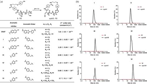 Analysis Of Cyclization Reaction Rates And Their Cyclic Products