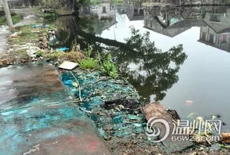 平阳一企业老板日排1吨废水被拘 独家报道 温州网