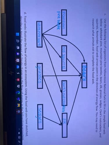 Lab Exam 1 Flashcards Quizlet