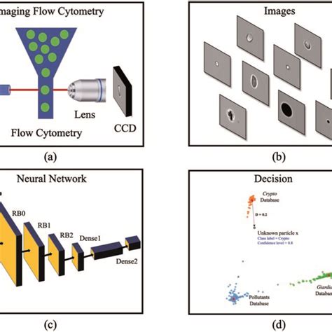 Overview Of A Deep Metric Neural Network For Rare Bioparticle Detection