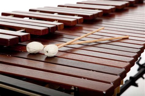 Differences Between Pitched Percussion Instruments Xylophone