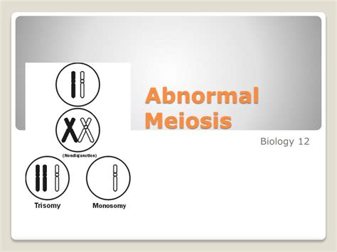 Ppt Abnormal Meiosis Powerpoint Presentation Free Download Id2887507