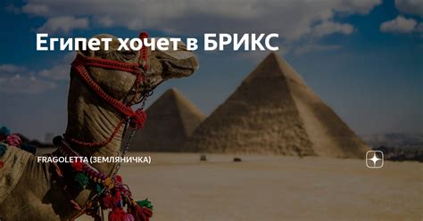 Египет хочет в БРИКС Fragoletta Земляничка Дзен