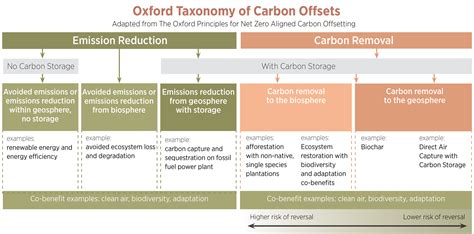 08 Carbon Negative Activities Sequestration Honesty Lmn Architects