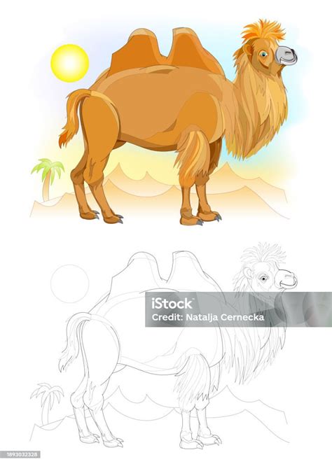 색칠하기 책을 위한 다채롭고 흑백 페이지입니다 사막에서 귀여운 낙타의 판타지 일러스트 어린이와 성인을 위한 워크시트 벡터 만화 이미지입니다 0명에 대한 스톡 벡터 아트 및
