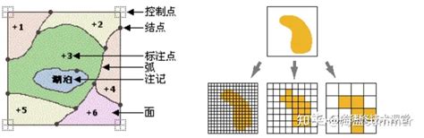 Plus模型和invest模型生态系统服务多情景模拟预测、arcgis空间数据处理、空间分析与制图、土地利用时空变化基于plus