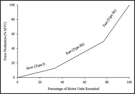 Graphic Representation Of The Orderly Recruitment Of Motor Units During