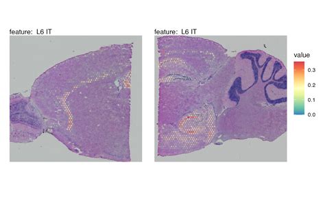 Cell Type Mapping With Nnls • Semla