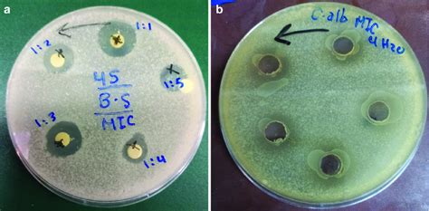 determination of mic values of a b subtilis using a disk diffusion