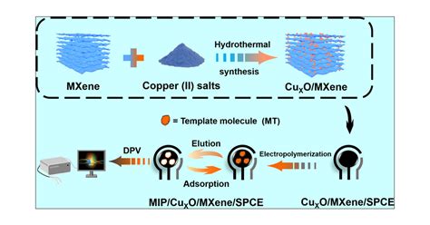Molecularly Imprinted Electrochemical Sensor Based On Cuxomxene Nanocomposite For Sensing Of