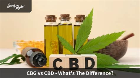 Cbg Vs Cbd Whats The Difference Song Ryder
