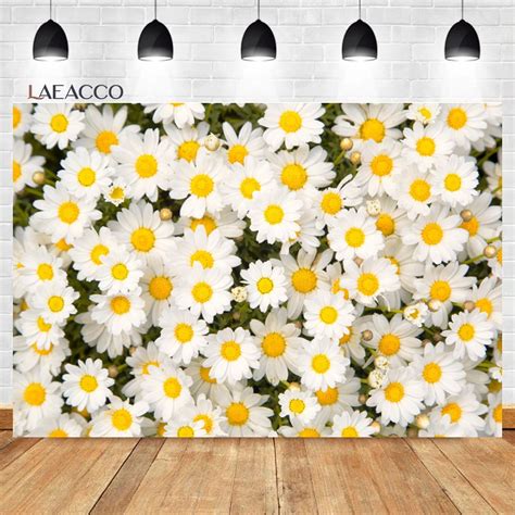 Pink Red Rose Wall Background Spring Tulip Garden Weeding Bridal Shower